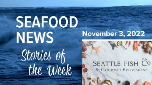 VIDEO: NFIs New CEO; COVID Postpones China Fisheries & Seafood Expo ...