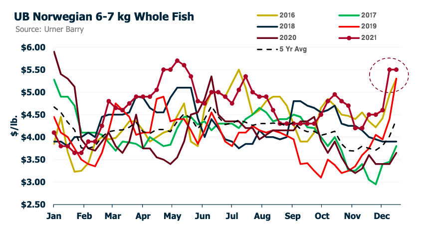 ANALYSIS: Salmon Market Adjusted Lower Ahead of The New Year