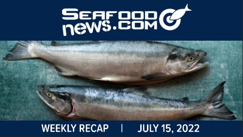 VIDEO: Bristol Bay Sockeye Update; New Wave Foods' CEO; 'Fake Tuna ...