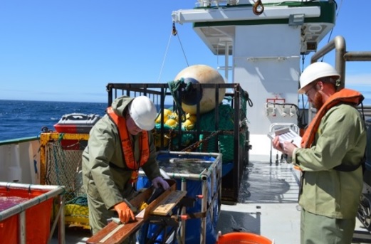 Newfoundlands Fisheries Minister Supports $14 Million Federal ...