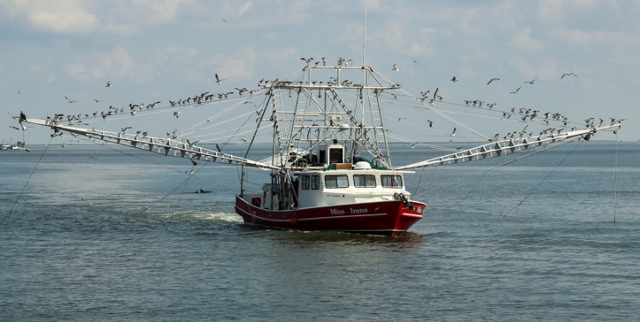 LDWF Announces Closures for 2018 Inshore Shrimp Season