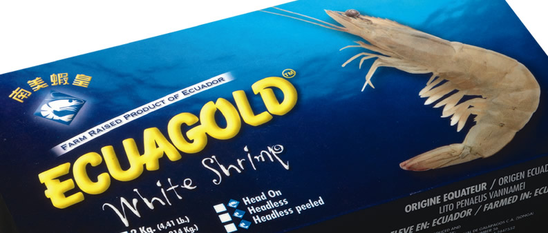 Ecuadors Songa Investing Further for China Shrimp Market, Says ...