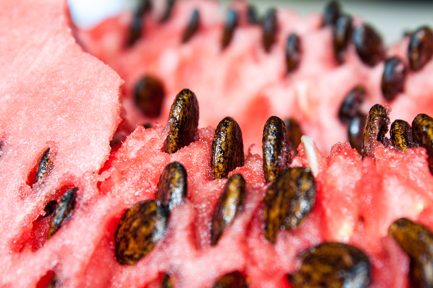 PLANT PROTEIN: Emerging Plant Protein of the Month: Watermelon Seeds