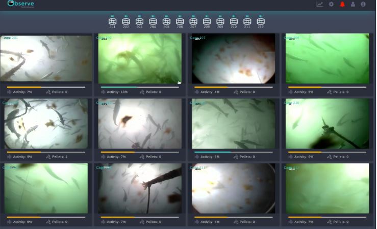 AKVA Group, Observe Technologies Develop Revolutionary Breakthrough in ...