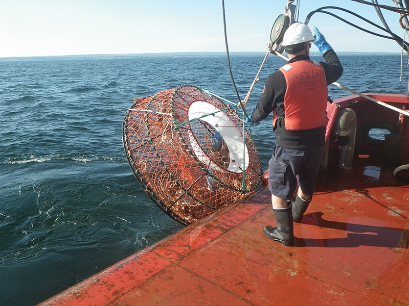 DFO, Canadian Coast Guard Remove 101 Traps, Over 9 Kilometers of Rope ...