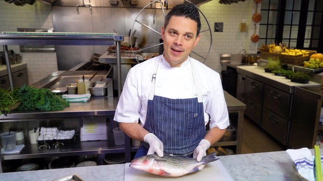 Aquaculture Site SaltyFarmer.com Launches As Companion to New PBS ...