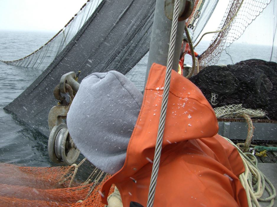 New ISSF Report Gives Tuna Purse Seine Fleet Recipe For Becoming MSC ...